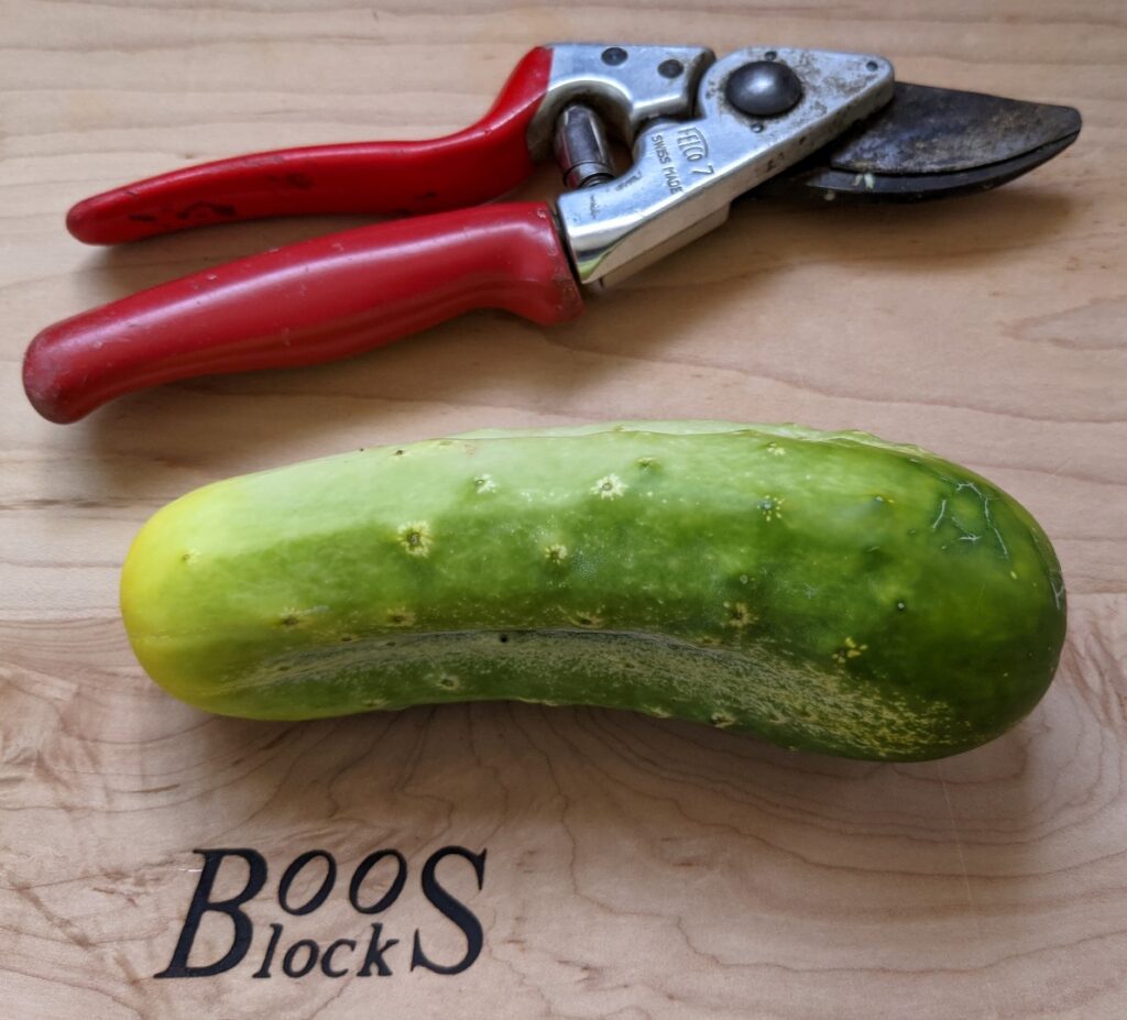 Vege Garden Automation | Rototron